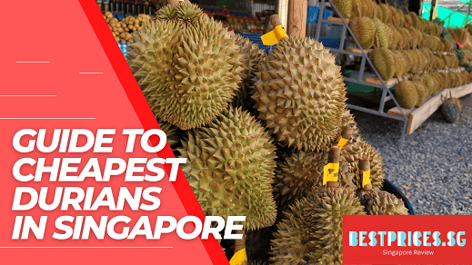 Cheapest Durian Singapore 2025 - Where to Find? – Best Prices SG