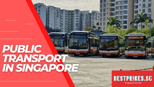 Guide to Public Transport Singapore 2024 - All You Need to Know – Best ...
